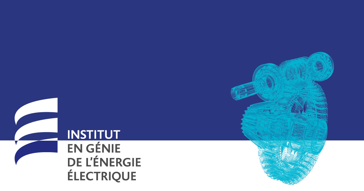 PROGRAMME DE FORMATION IGEE - Institut en génie de l'énergie électrique